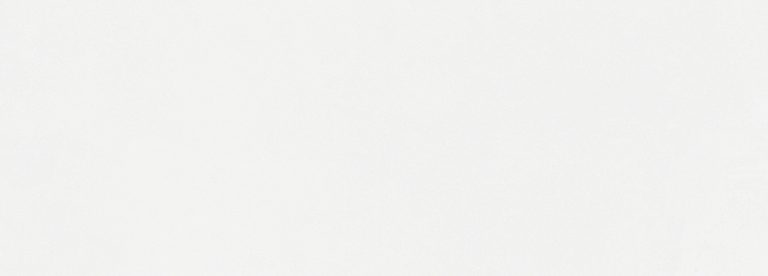 Solid Snow (White) Matte - Terra Tile and Marble