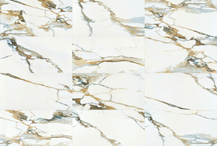 Tropical Breeze 12"x24" Polished - Terra Tile and Marble